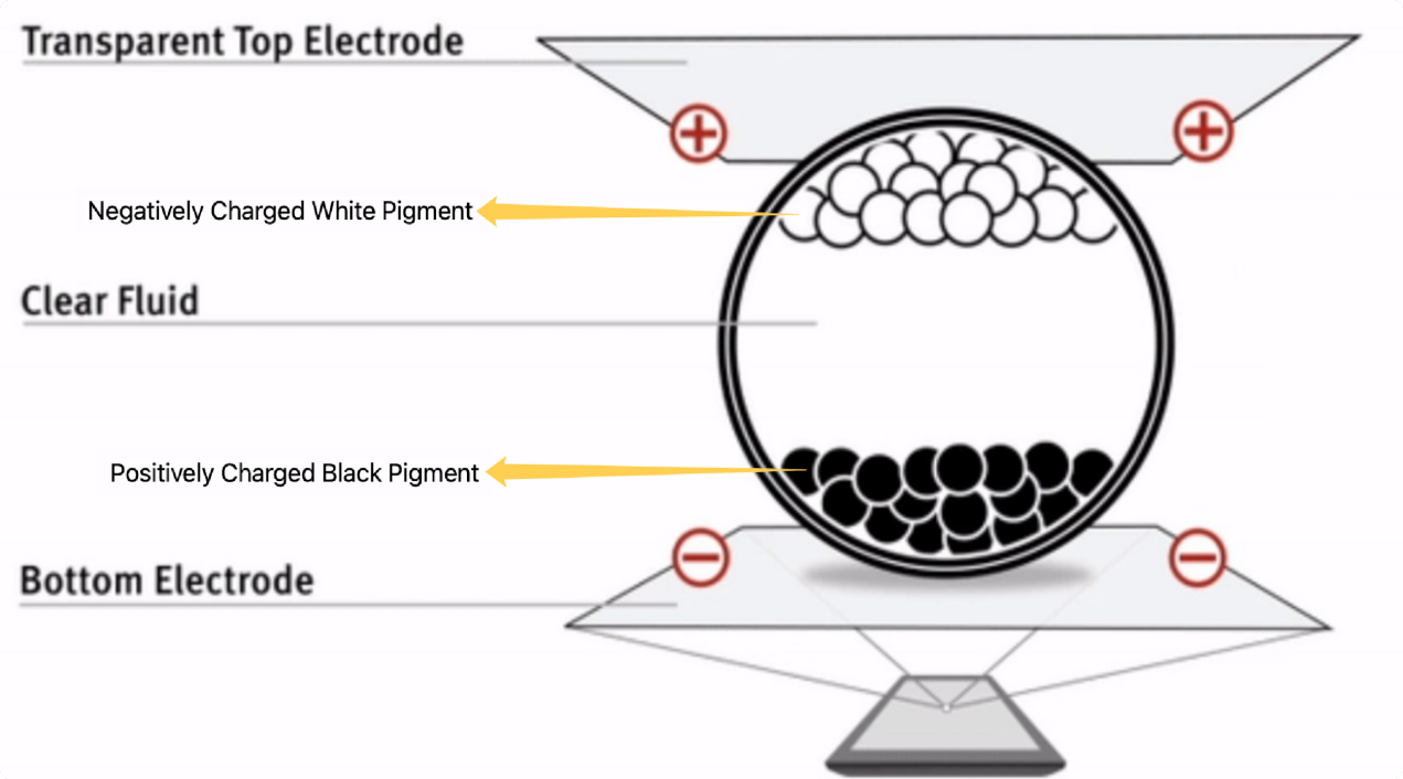 E-Ink Technology: the Secret Behind Kindle - USC Viterbi School of ...