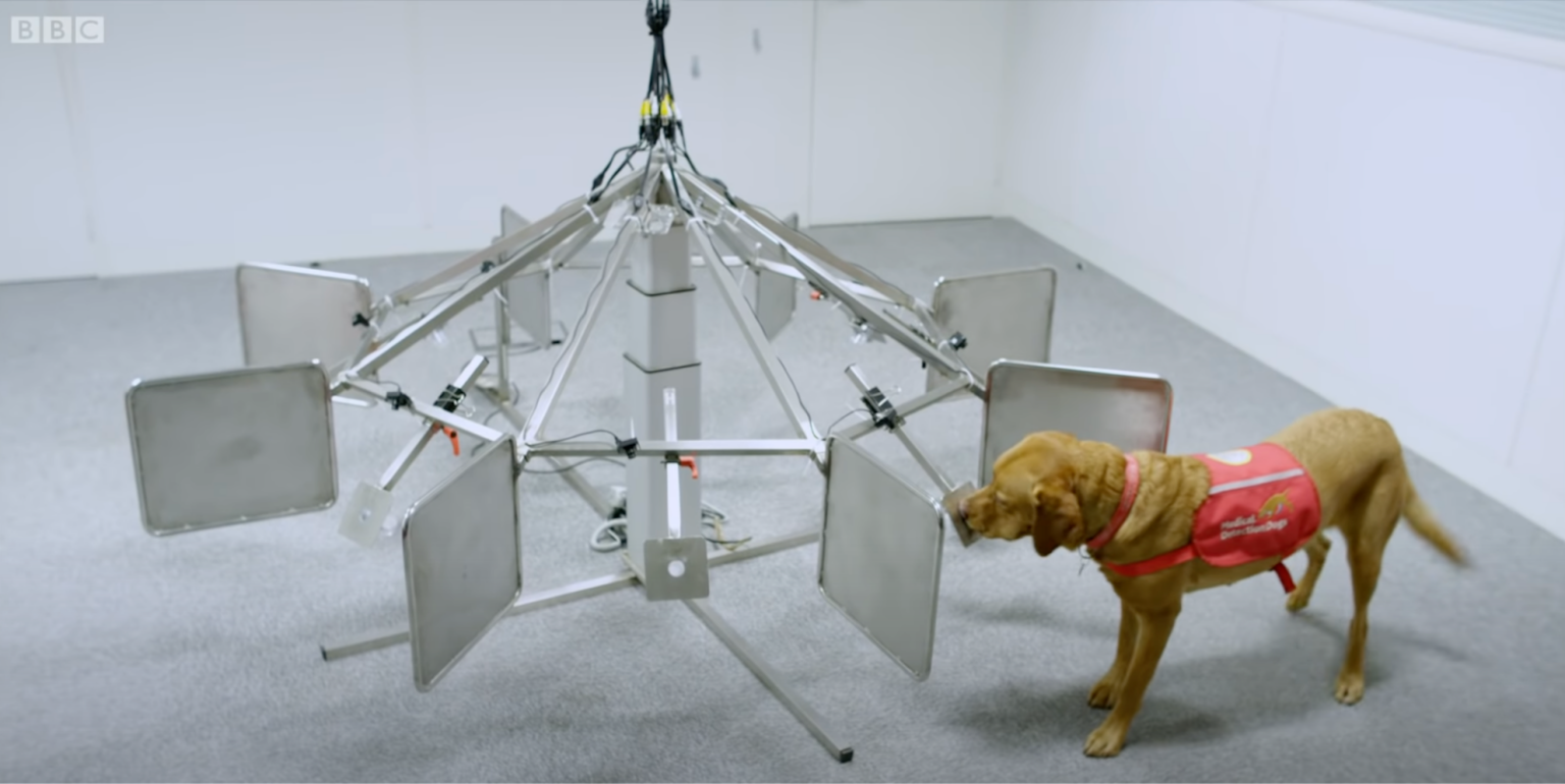 Dogs Smell Cancer? – The Canine Nose Sniffs Out New Methods in Cancer ...