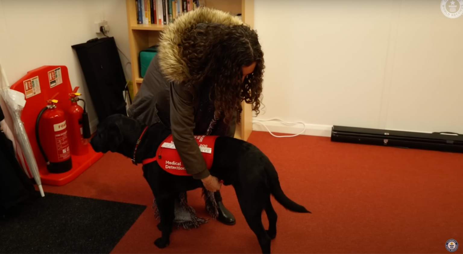 Dogs Smell Cancer? – The Canine Nose Sniffs Out New Methods in Cancer ...