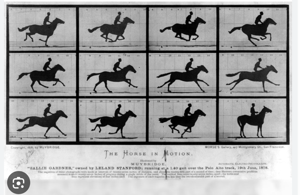 Engineering Cinema: The Evolution of the Motion Picture Camera - USC ...