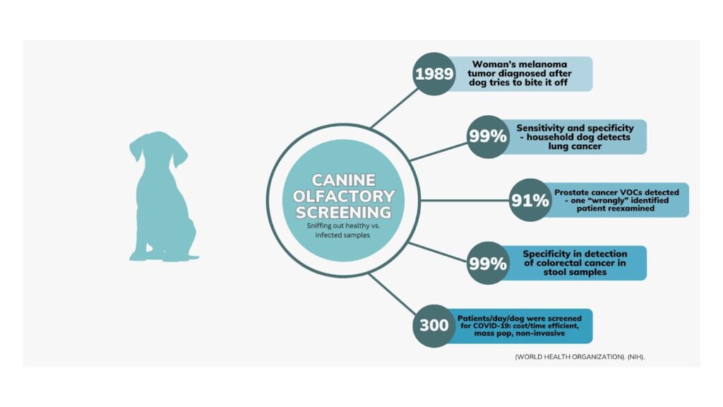 Dogs Smell Cancer? – The Canine Nose Sniffs Out New Methods in Cancer ...